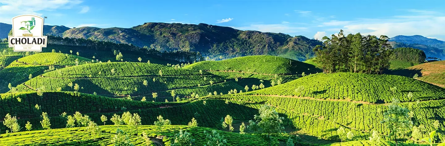 Exploring the Benefits of Nestlé Export Operations|Nestlé